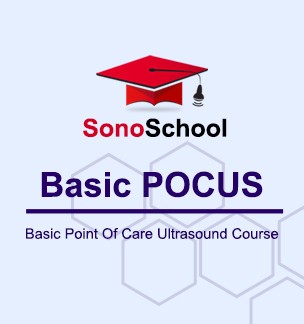 Sono School | courses View